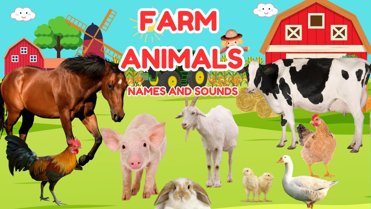 Learn Farm animals, names and sounds for kids, farm animals vocabulary ...