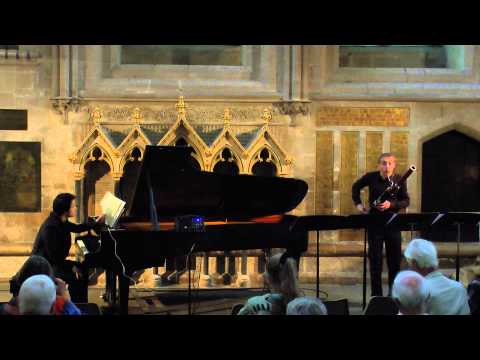Olga Neuwirth, Torsion (transparent version for Bassoon and CD)