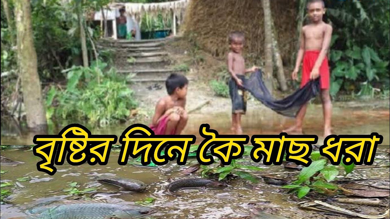 কৈ মাছ ধরা | কৈ মাছ ধরার পদ্ধতি | koi mach kata | koi mach dhora - YouTube