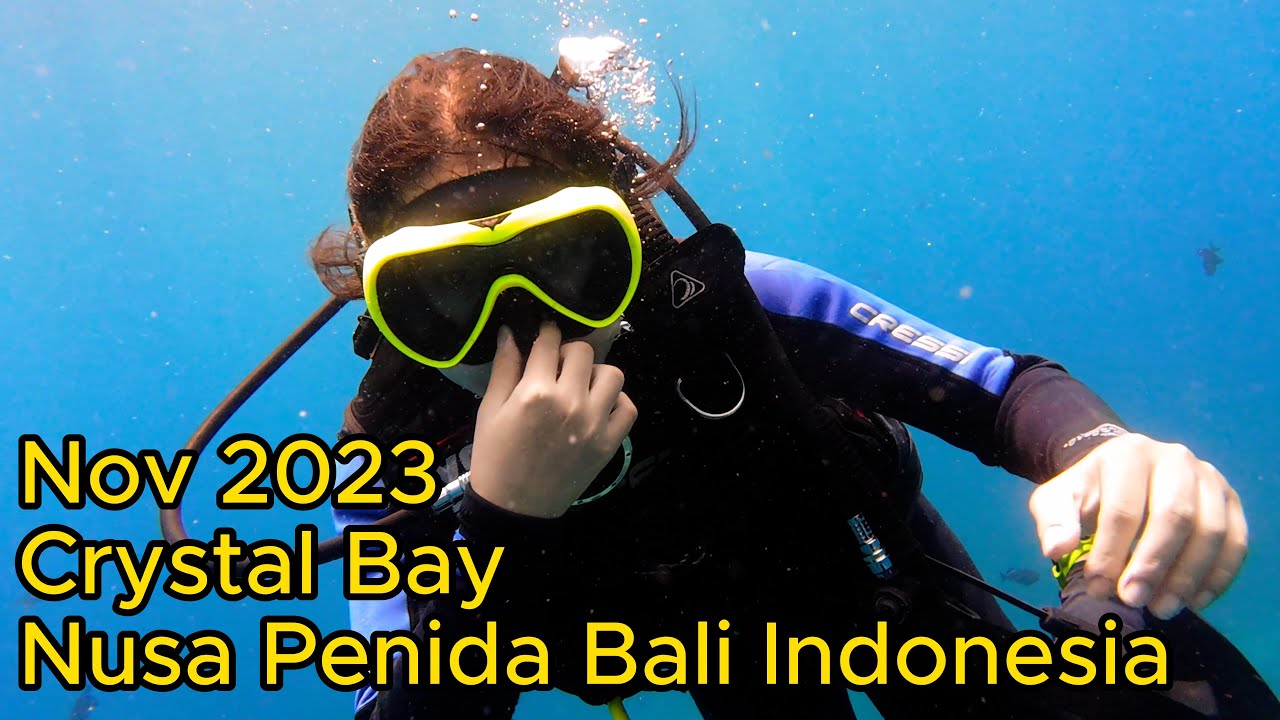 DJI Osmo Action 4 | Underwater Color Test | No Filter | Scuba Diving ...