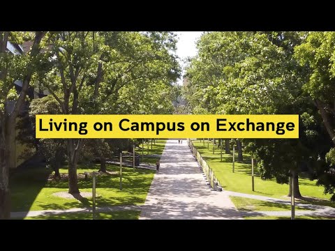 UNSW | Living on Campus on Study Abroad & Exchange - YouTube