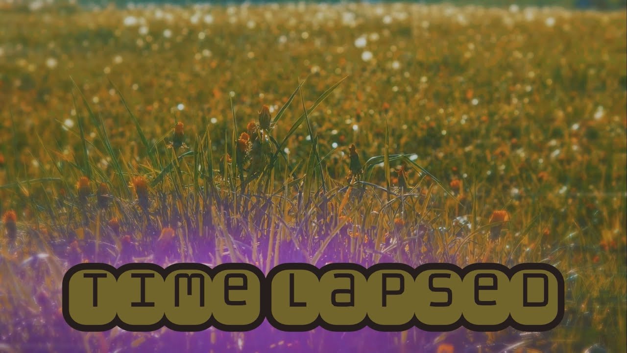 AbetheBand - Time Lapsed - YouTube