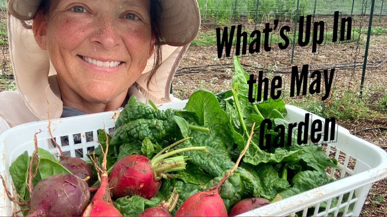May Garden Tour and Update - YouTube