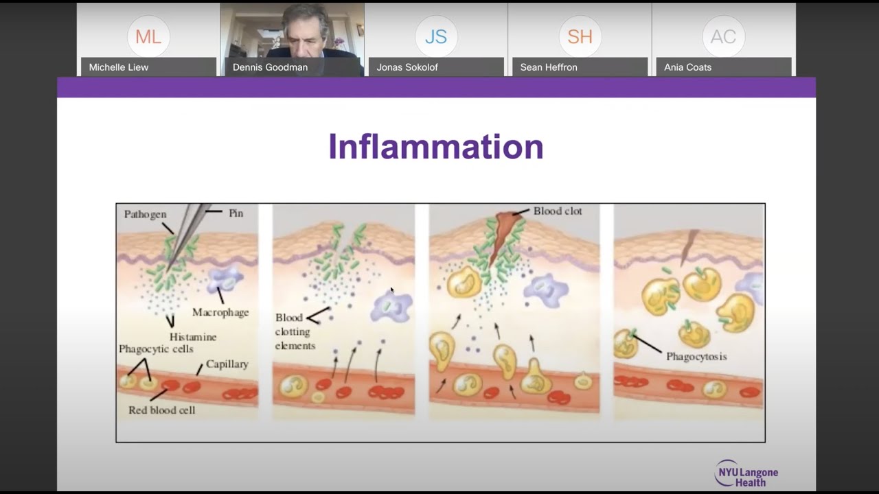 How Exercise Affects Your Immune Health - YouTube