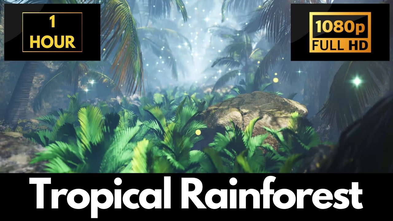 Magical Tropical Jungle Rainforest – 1 HOUR LOOP (No Sound) Satisfying ...
