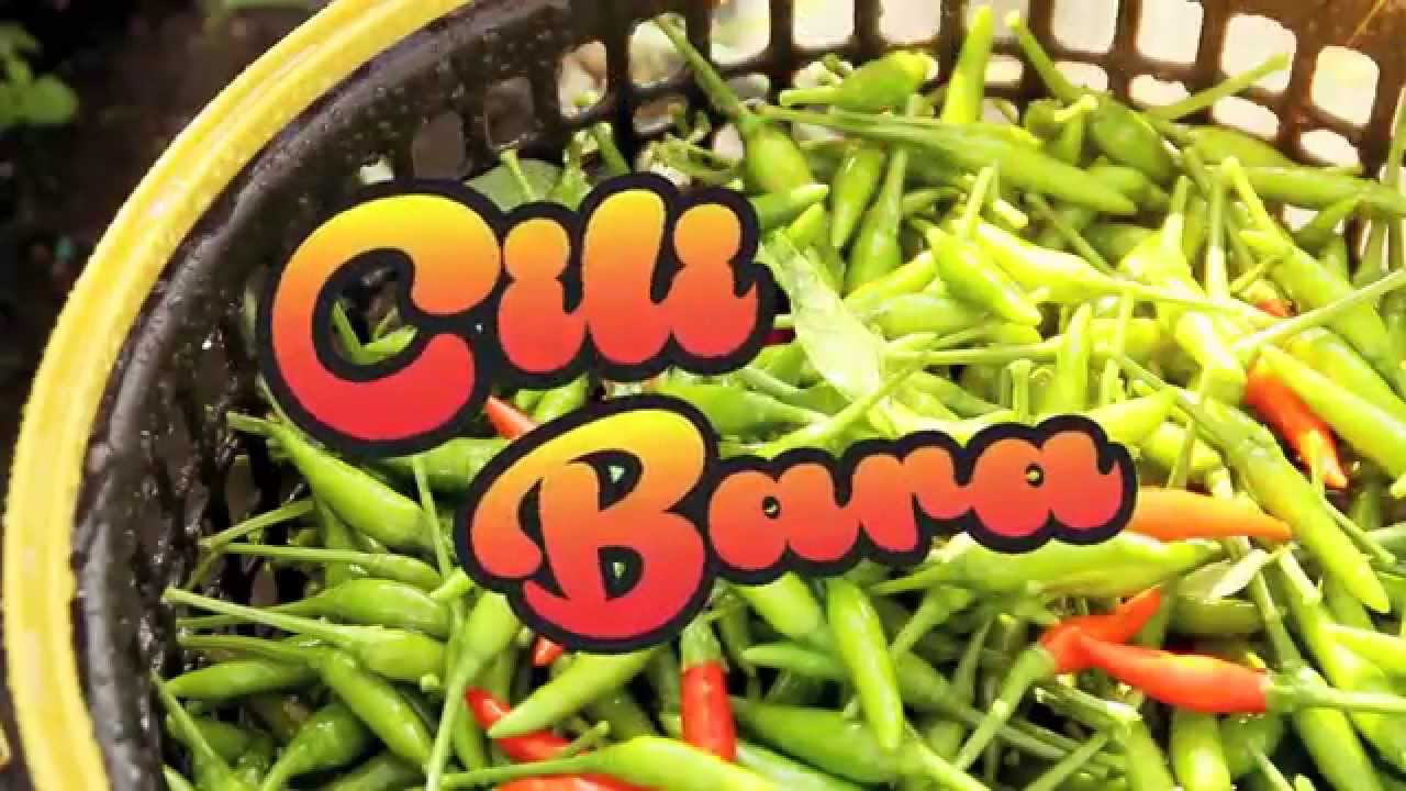 CILI BARA l OFFICIAL - YouTube