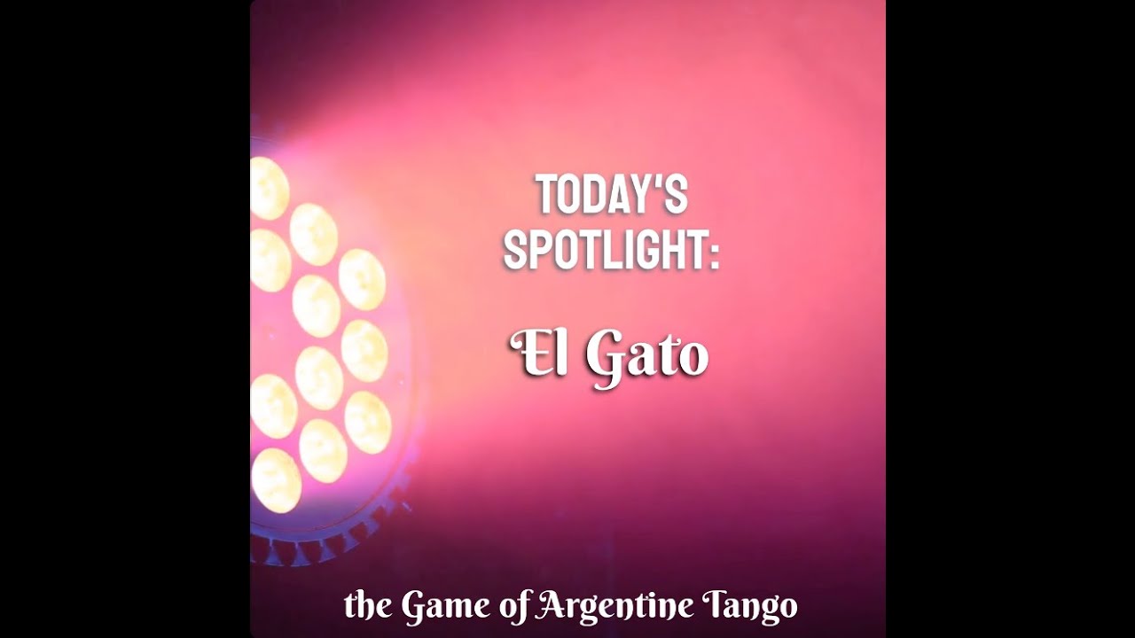 Tango Beyond Basics: Exploring 'El Gato' for Intermediate & Advanced ...