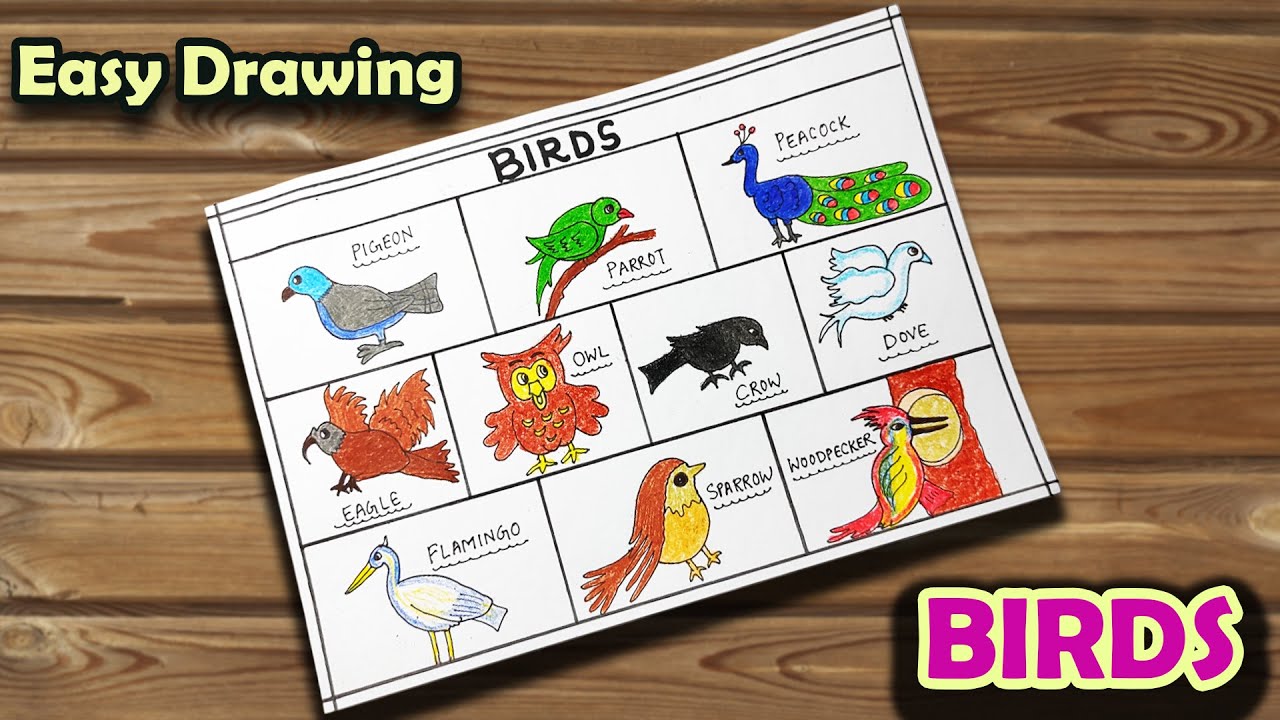 how to draw different bird drawing easy step by step - YouTube