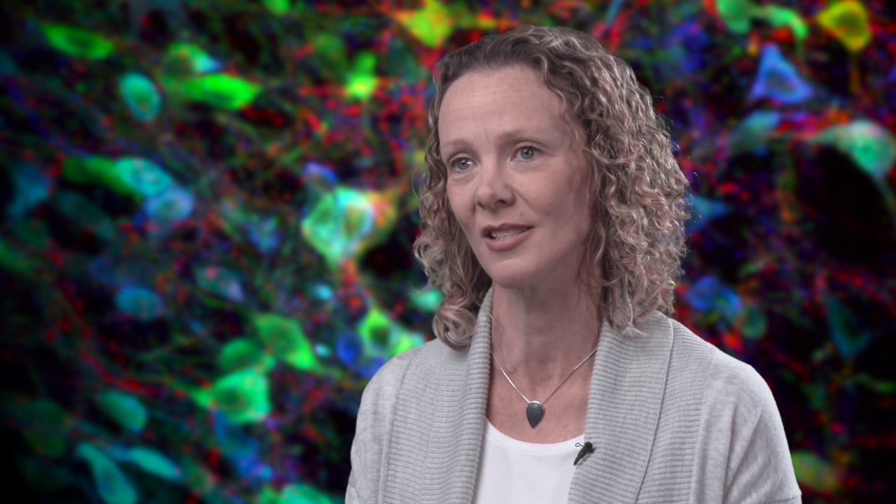 Professor Clare Parish and Associate Professor Lachlan Thompson - YouTube