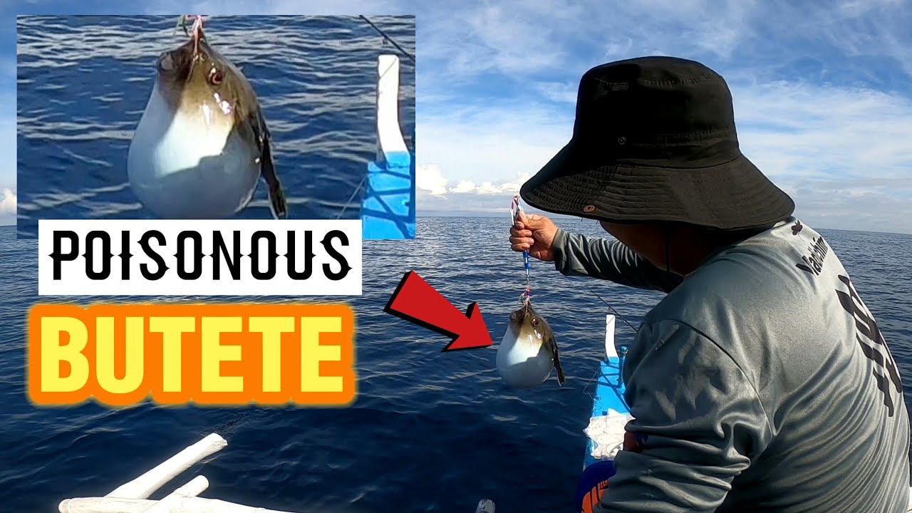 Boat Jigging! Harvest Butete😁 - YouTube