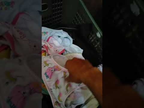 Mencuci Celana Dalam Anak | Banyak banget