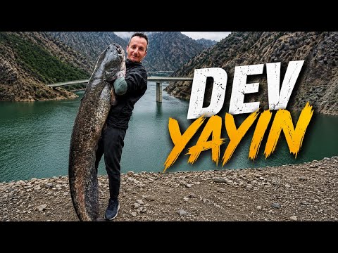 35 KG DEV YAYIN BALIĞI YAKALADIK! 😱 Hayatımızın Avı