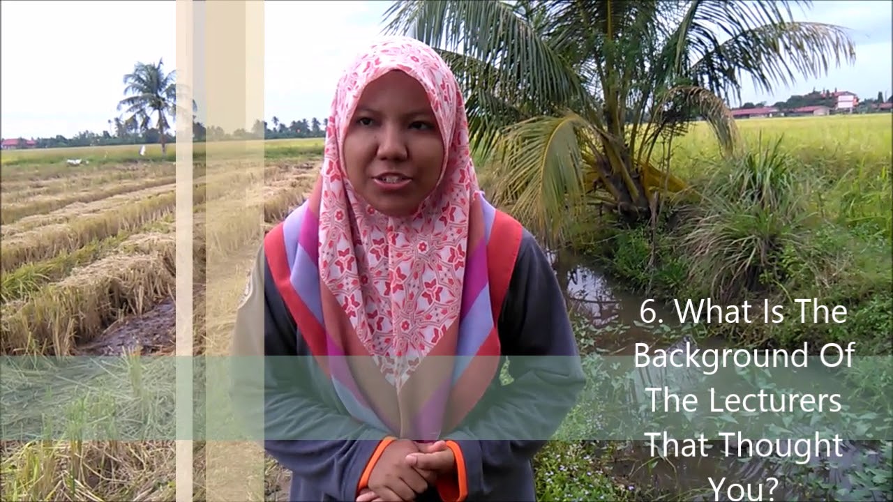 NADIAH BINTI ISMAIL _AP14OO64_[SECTION 2]_CORPORATE REAL ESTATE ...