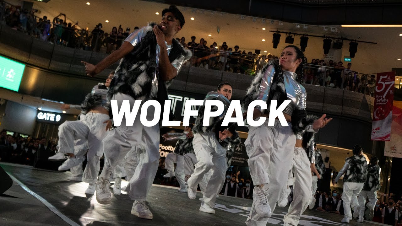Wolfpack | Super 24 2022 Preliminary - YouTube