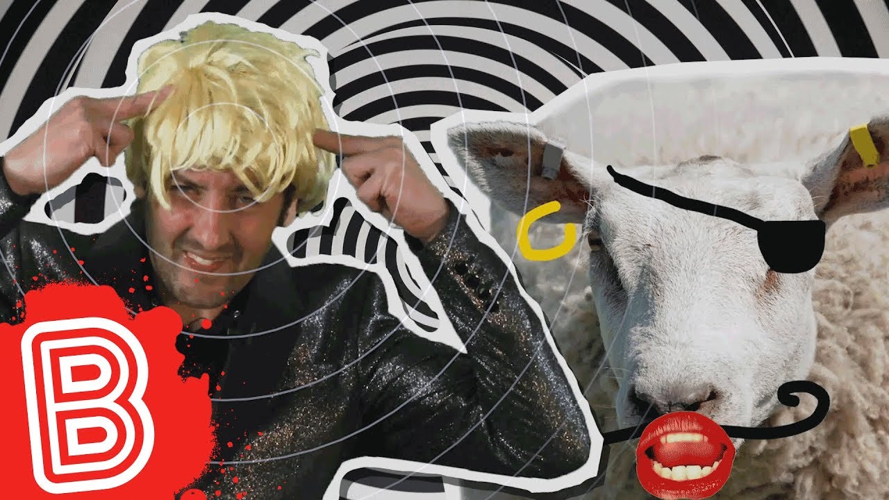 Pet Psychic Battles Evil Sheep | Johnny Caravan | BEANO XL - YouTube