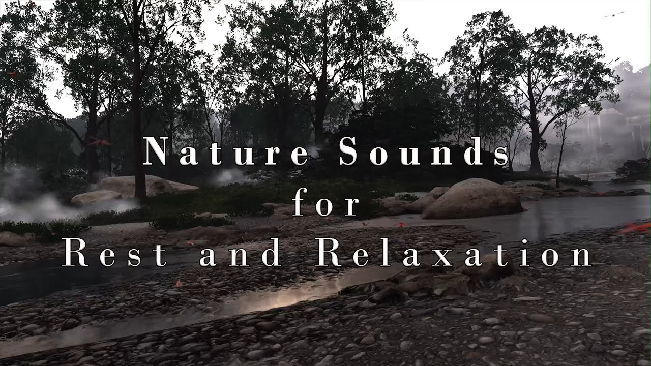 🌳 Forest River Nature Ambiance |🍃🦜 Calming Water, Birds & Nature Sounds ...