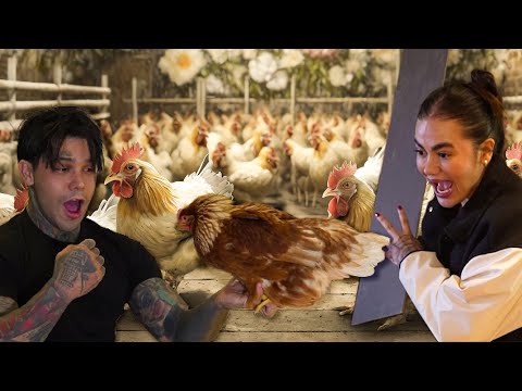 Llené su habitación con 300 gallinas. | Yeferson Cossio