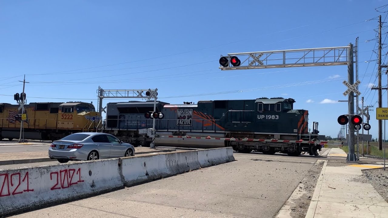 UP 8229 Coal Train With UP 1983 WP Heritage South - E. Morada Lane ...