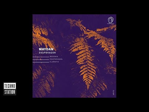 Maydan - Begonia | Techno Station