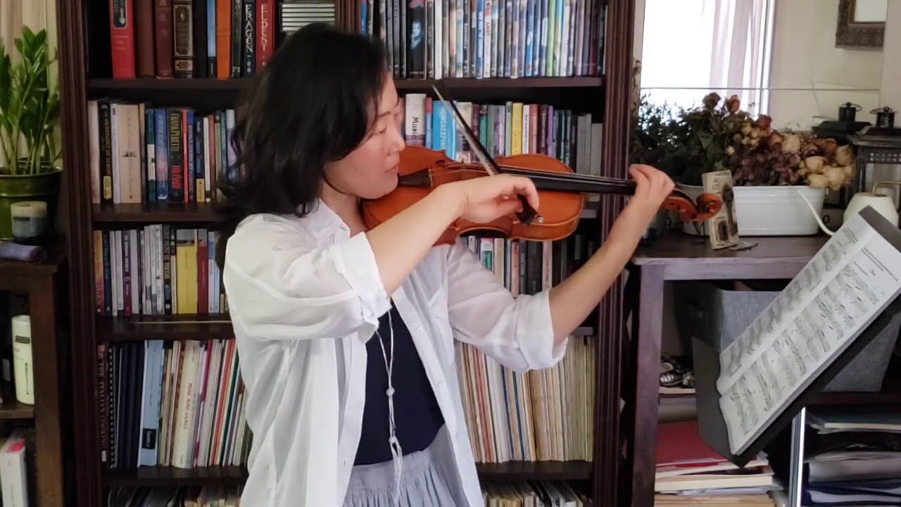 Applebaum Volume 3 #5 Play Along - Beautiful Music for Two String ...