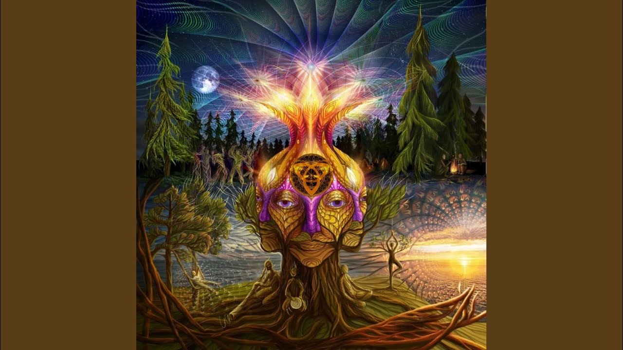 Night Forest Ambient - YouTube