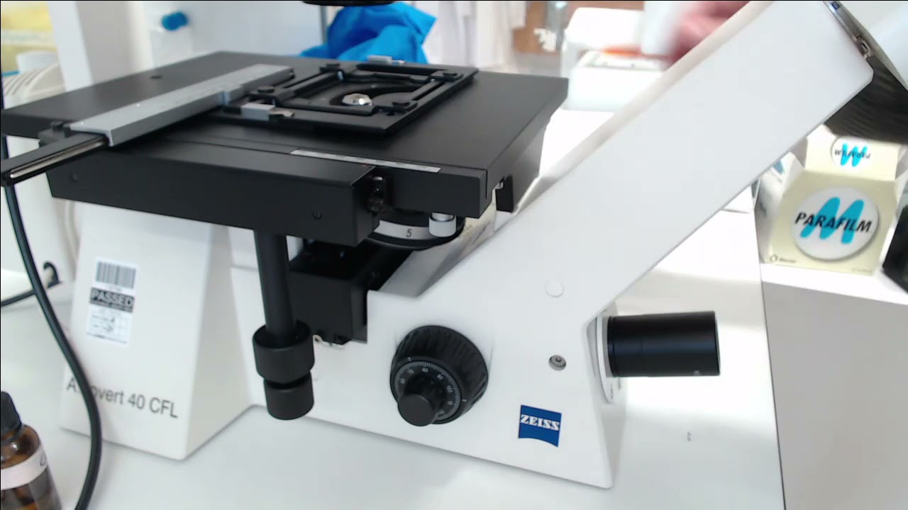 Introduction to the inverted microscope - YouTube