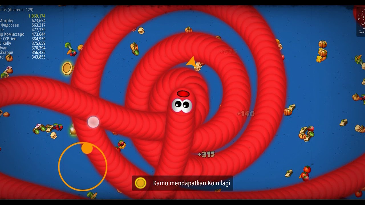 Cacing gede nubruk - YouTube