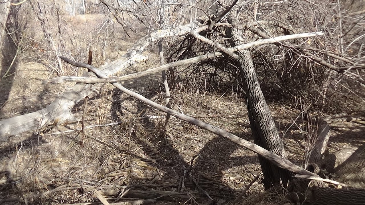 Sasquatch Structure tour - Active Colorado area - A Revisitation - YouTube