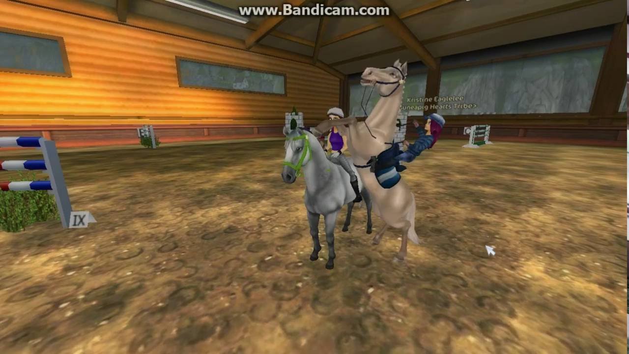 STAR STABLE the new Lipizzaner horse! - YouTube