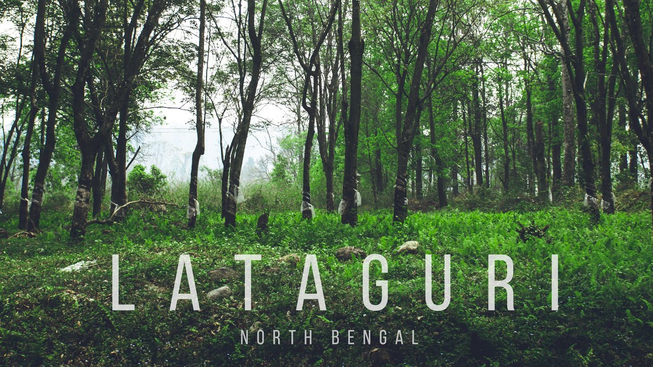 Trip to LATAGURI FOREST | Lataguri Cinematic Video | Dooars | Gorumara ...