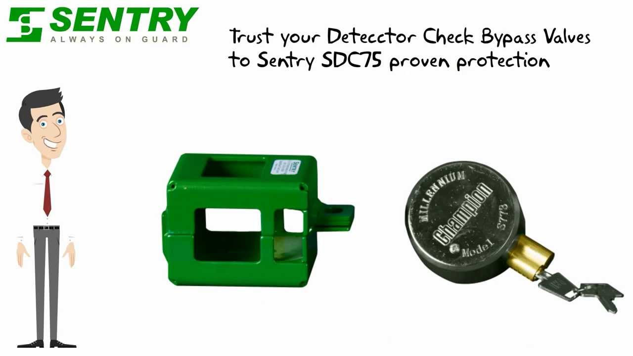 Sentry Detector Check Introduction - YouTube