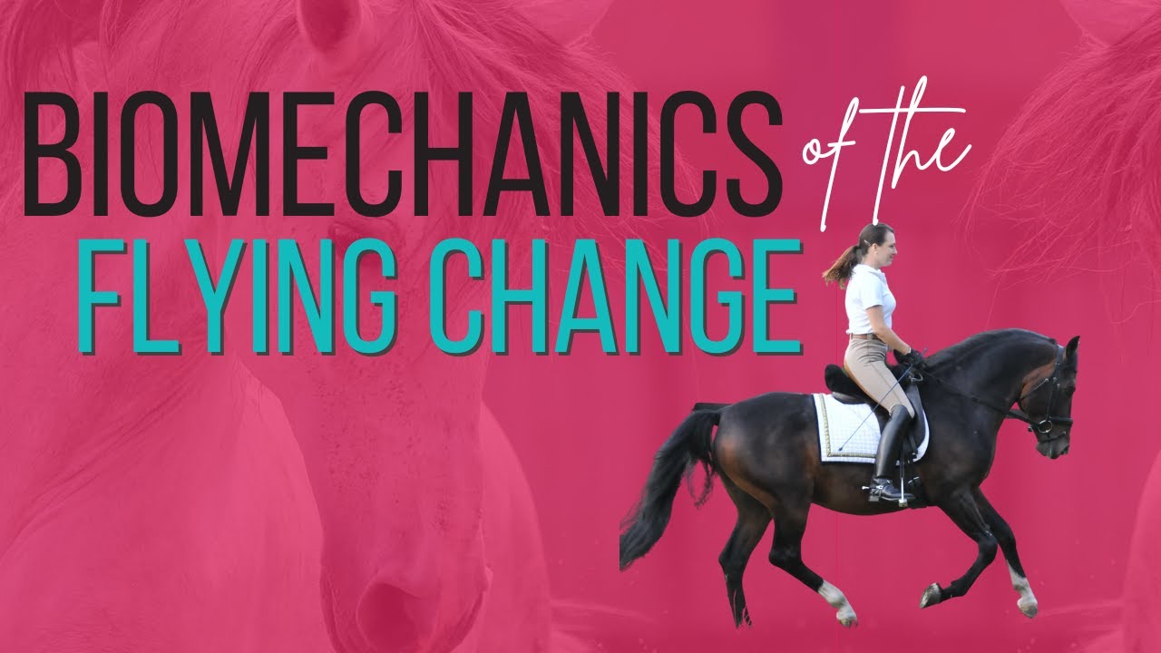 The Biomechanics of the Flying Change - YouTube