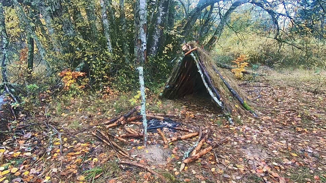 How to make a bushcraft shelter (A-frame) - Overnight Autumn Camp - YouTube