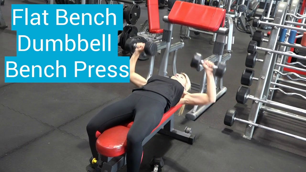 Fit Moms Fitness Flat Bench Dumbbell Bench Press At The Gym Youtube