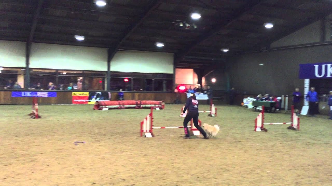 Danielle Ackrill and Marshall winning Circular Knock Out UKA Grand ...