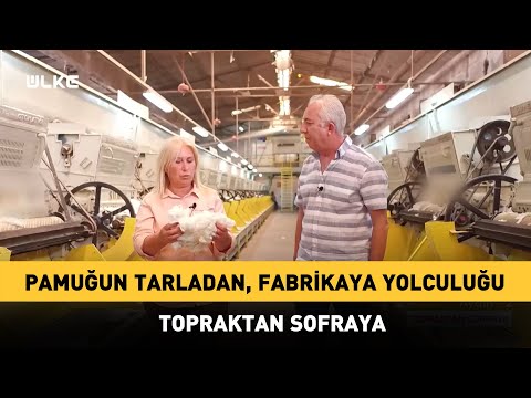 ''Tohumluk Pamuk'' Ayrı Depoda İşlenir: Çır Çır Fabrikası I Topraktan Sofraya