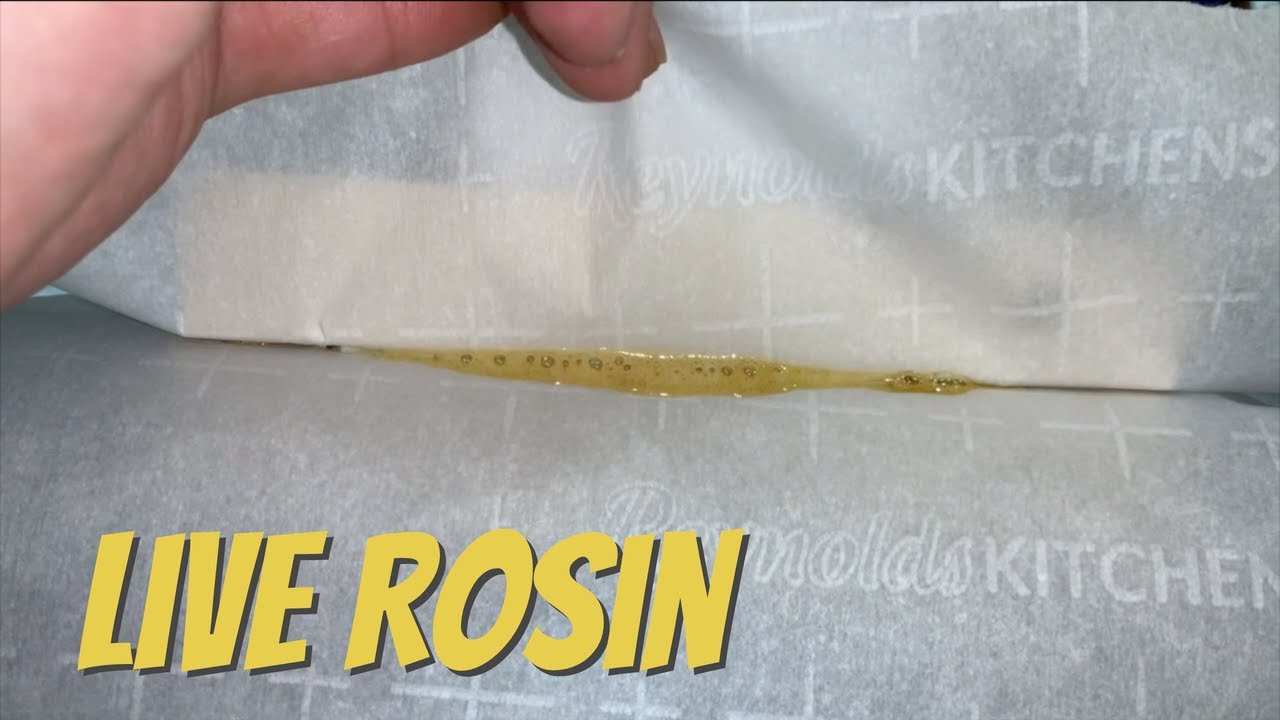 Live Rosin Press - YouTube