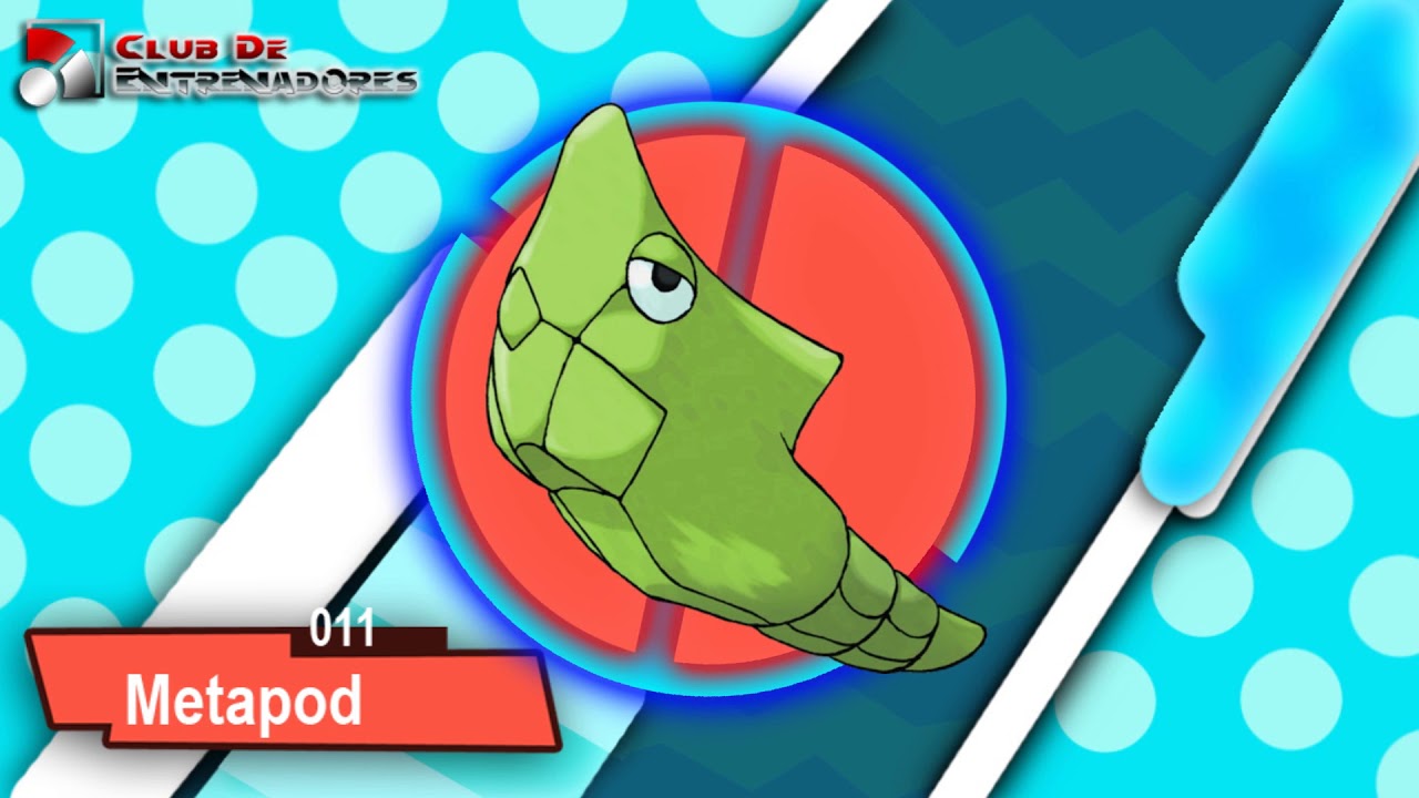 011 METAPOD POKEDEX - YouTube