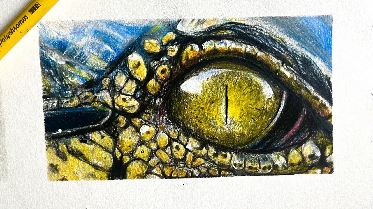 "Drawing a Realistic Crocodile Eye in Colored Pencils - Timelapse ...
