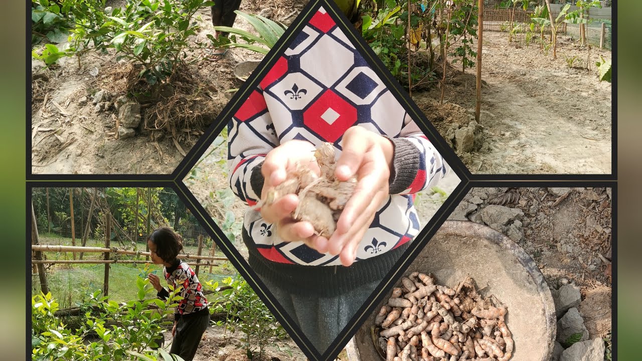 mere small garden ne ki Kiya 🥴🤫#volg #farming #happy #mydailyvlog - YouTube