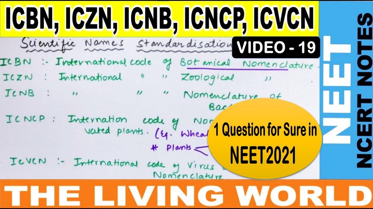 Full Form of ICBN & ICZN | ICBN Principles and Rules | ICZN, ICNB, ICVCN, ICNCP Fullform| NEET ...
