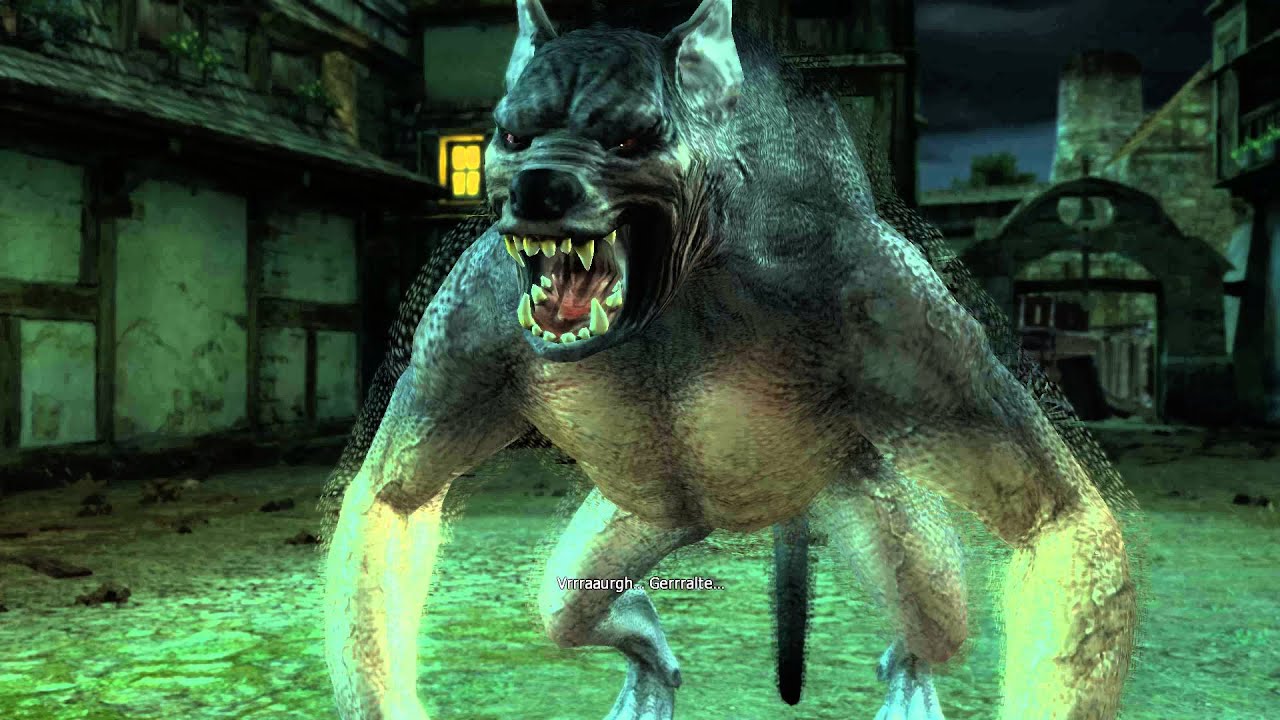 The Witcher 1 Werewolf !SPOILERS! - YouTube