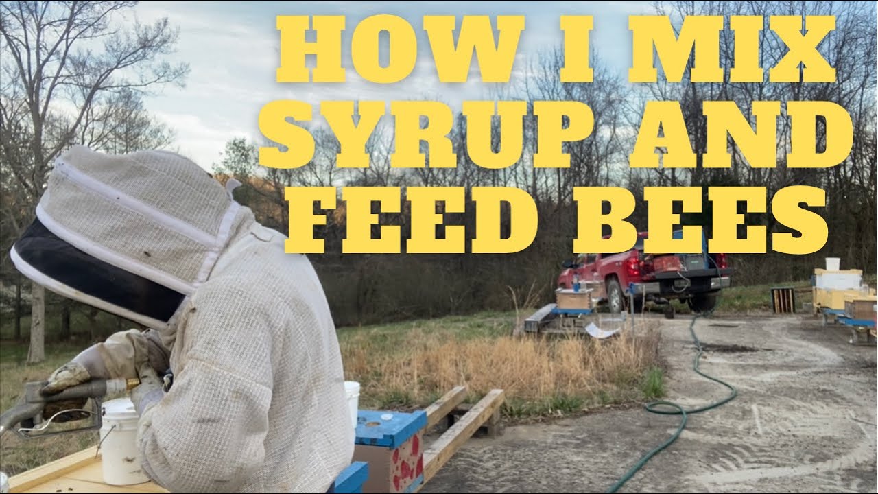 How I Mix Syrup and Feed Bees - YouTube