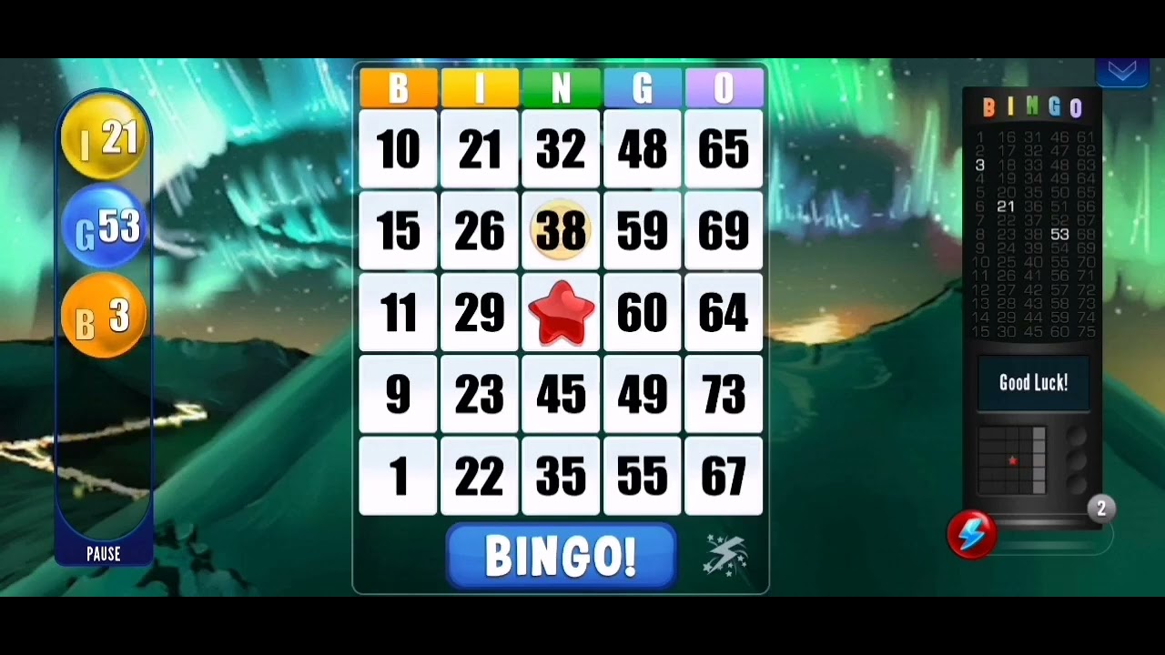 Bingo #9 #letsplay / How many times did I win? - YouTube