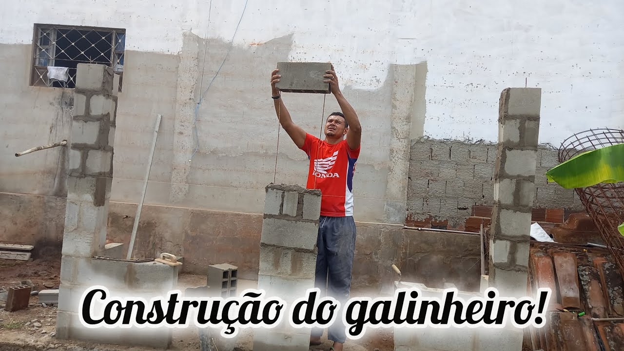 Veja como construir galinheiro destinado para reprodução de galinhas ...