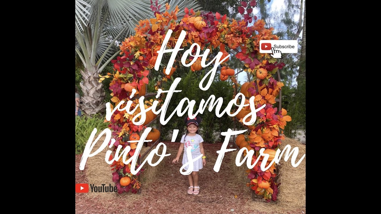 Conociendo Pintos Farm en familia - Kids activities rides and animals ...