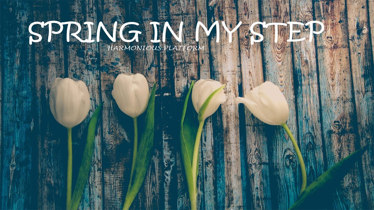 spring in my step - Silent Partner (no copyright music) - YouTube