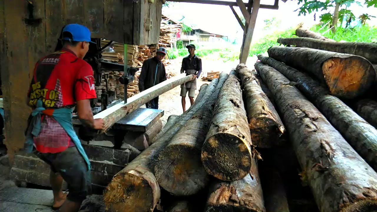 proses BELAH KAYU SENGON/ALBASIA pembuatan PAPAN BALOK DAN KASO - YouTube