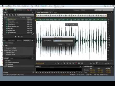 CC02 Adobe Audition Batch Processing - YouTube