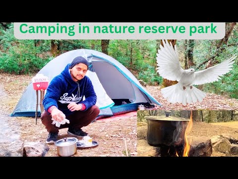 deep forest camping in "" nature reserve park""🐦🐦 | two brothers in ...